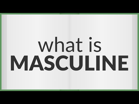Masculine | meaning of Masculine