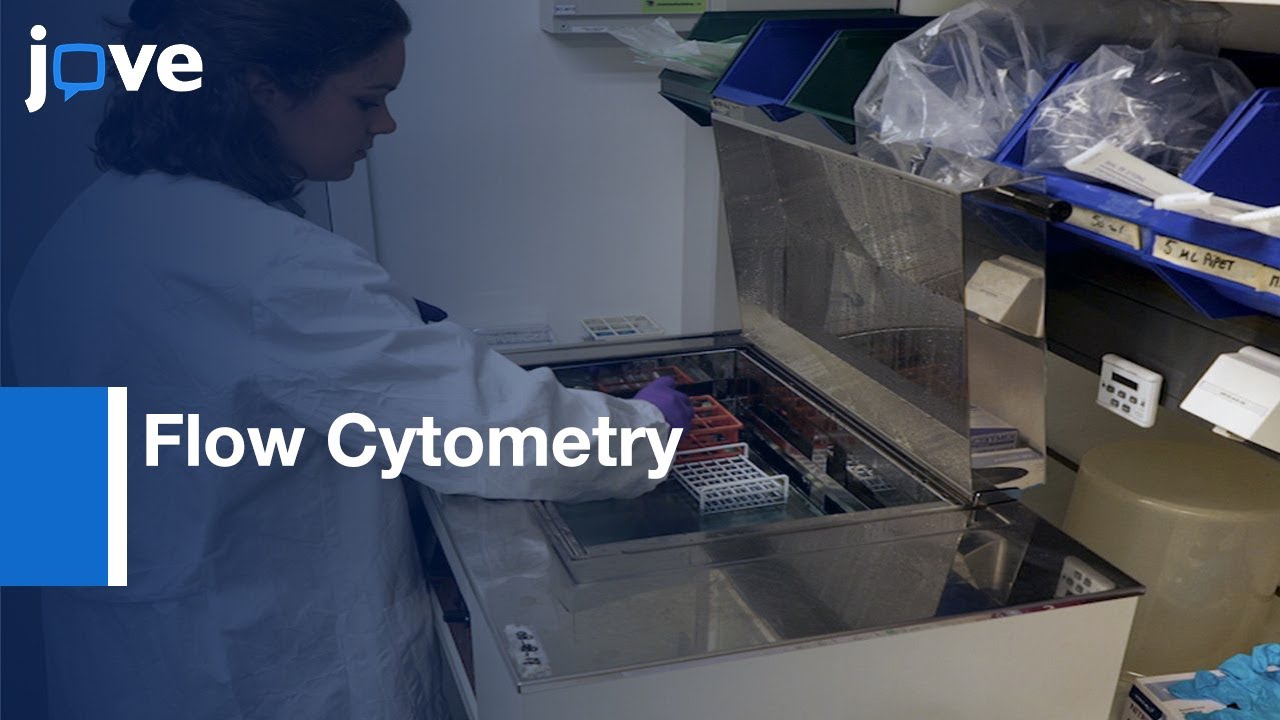 Flow Cytometry to Characterize Immune Cells in Adipose Tissue | Protocol Preview