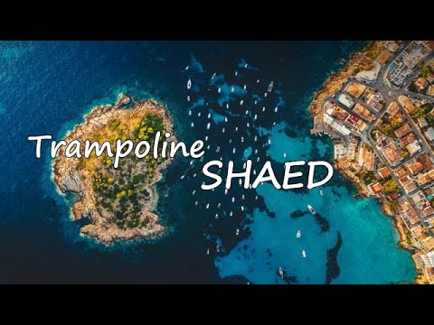 SHAED - Trampoline lyrics