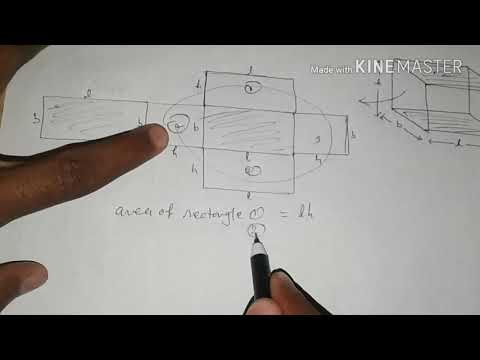 Lateral Surface Area of Cuboid | Formula and Example | Hindi