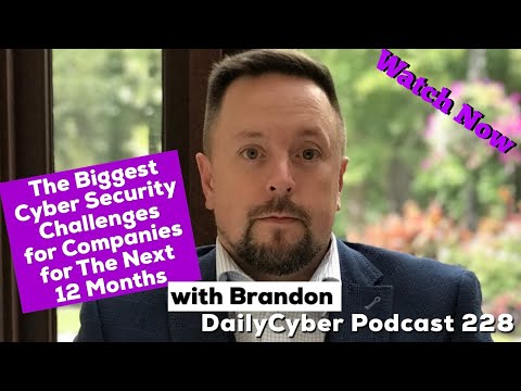 The Biggest Cyber Security Challenges for Companies for the Next 12 Months | DailyCyber 228