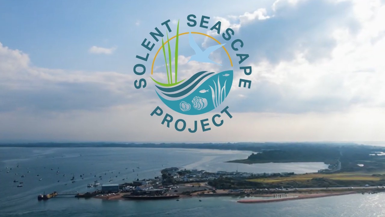 Solent Seascape Project