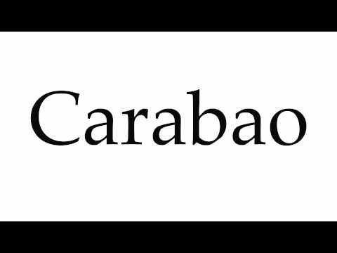 How to Pronounce Carabao
