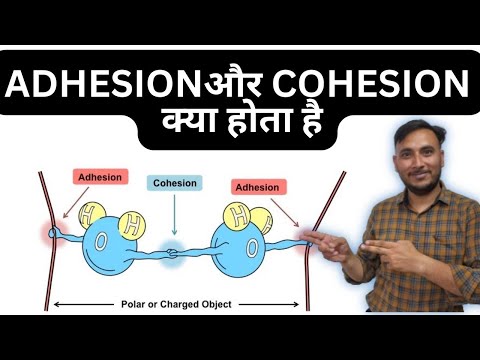 Adhesion aur cohesion kya hota hai || Adhesion cohesion || gear institute