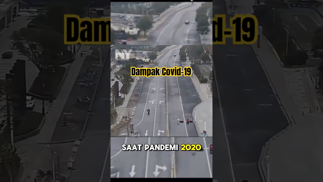 The 2020 Pandemic: Valuable Lessons from Difficult Times 🥺