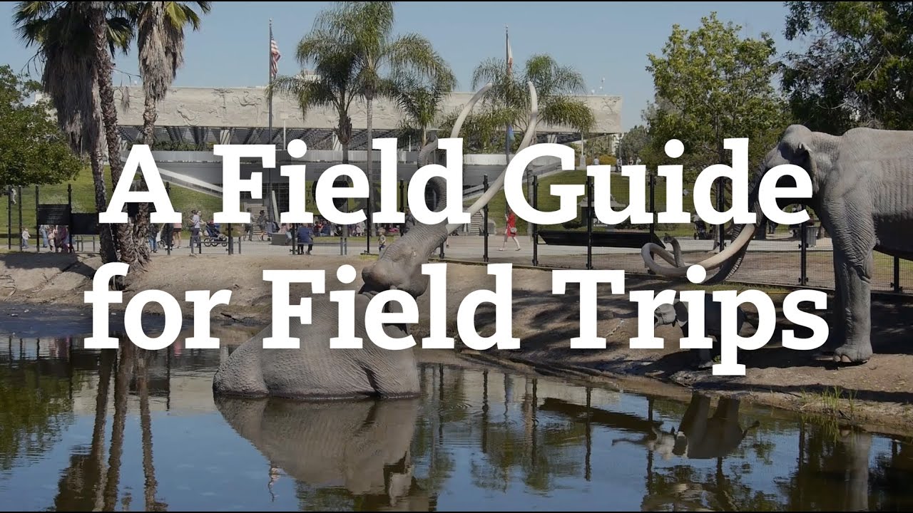 A Field Guide for Field Trips to the La Brea Tar Pits
