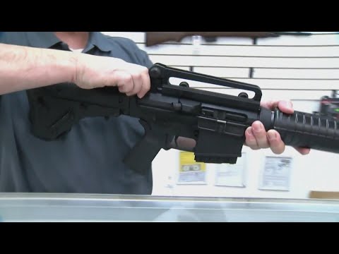 Macon County judge rules against assault weapons ban