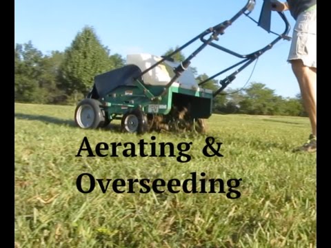 Aerating & Overseeding a Lawn - How To
