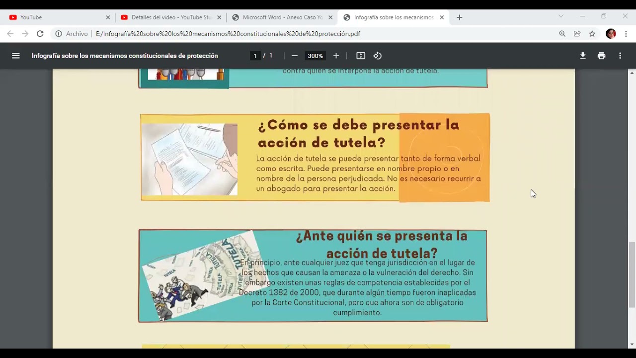 Infografía mecanismos constitucionales de protección
