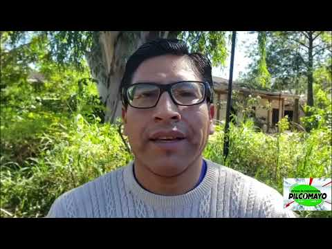 ¿𝐂𝐔Á𝐋 𝐄𝐒 𝐄𝐋 𝐀𝐕𝐀𝐍𝐂𝐄 𝐃𝐄 𝐋𝐀 𝐋𝐈𝐂𝐈𝐓𝐀𝐂𝐈Ó𝐍 𝐃𝐄 𝐋𝐎𝐒 𝐏𝐑𝐎𝐃𝐔𝐂𝐓𝐎𝐒 𝐏𝐀𝐑𝐀 𝐋𝐀 𝐂𝐀𝐍𝐀𝐒𝐓𝐀 𝐀𝐋𝐈𝐌𝐄𝐍𝐓𝐀𝐑𝐈𝐀 𝐃𝐄𝐋 𝐀𝐃𝐔𝐋𝐓𝐎 𝐌𝐀𝐘𝐎𝐑?