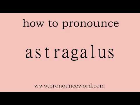 astragalus: How to pronounce astragalus in english (correct!).Start with A. Learn from me.