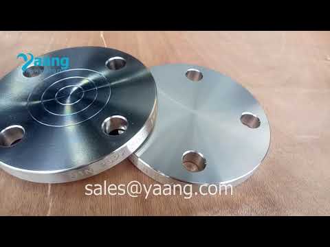 DIN 2527 A182 F304L Blind Flange DN25 PN16 - www.yaang.com