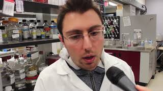 Principal Investigator Overview | What is a principal investigator ...