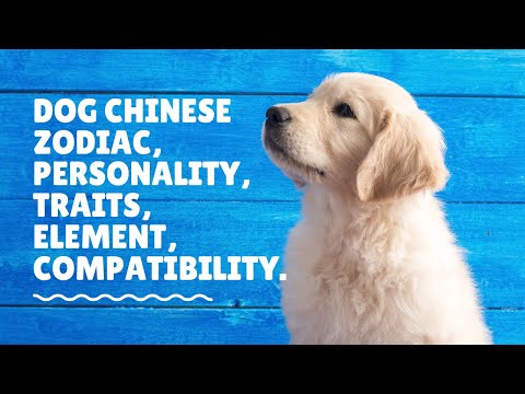 Dog chinese zodiac, personality, traits, element, compatibility