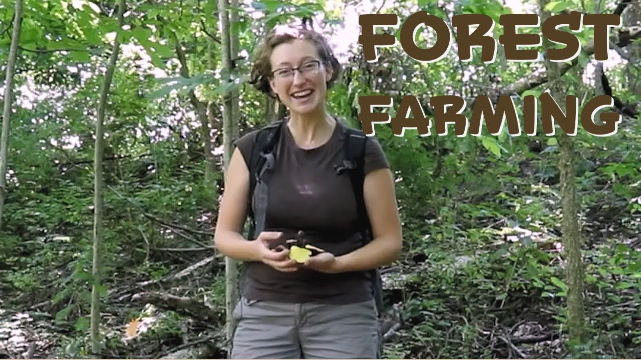 Forest Farming with Hannah Hemmelgarn