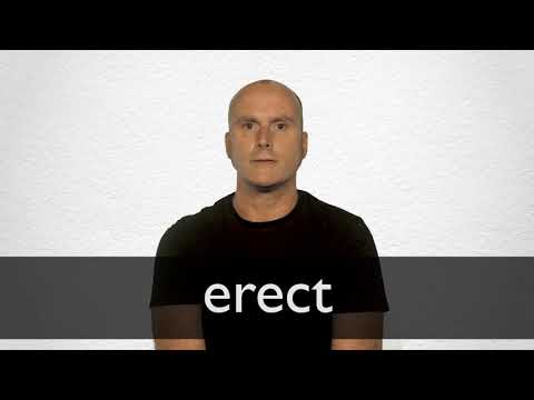 ERECT 释义 | 柯林斯英语词典