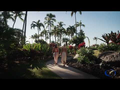 CME in Paradise! Big Island Hawaii Medical Conference 2025 | Earn CME Credits in Hawaii 🌴