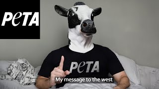 What the f*ck peta - The Insane Creators Guild - Fimfiction