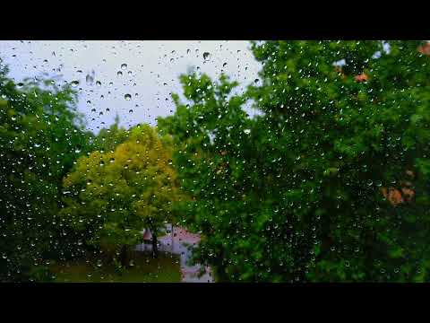 How YOU Can ENJOY the RAINY WEATHER Chords | Enjoy Relaxing Rain