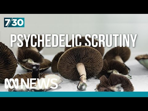 Some psychiatrists say the jury is out on prescription of psychedelic drugs | 7.30