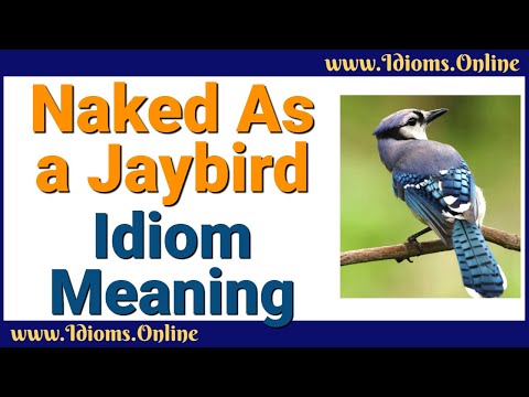 English Idioms | Naked as a Jaybird Meaning | With Idiom Origin