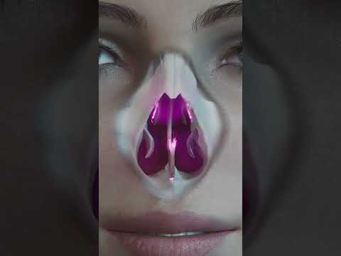 Nose anatomy. Video Animation by KAMINSKYI