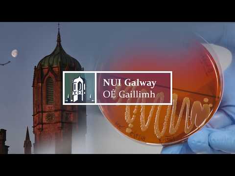 SDS PAGE for protein analysis 1: Pouring a gel