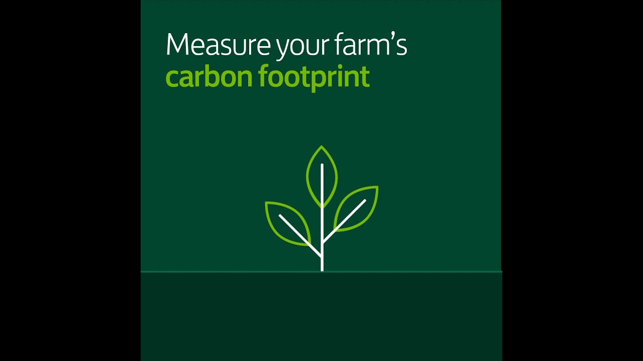 7 Steps to Net Zero
