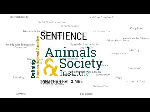 Defining Sentience with Jonathan Balcombe - ASI's Defining Human-Animal Studies 22