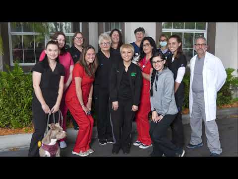 Introducing: Fox & Friends Animal Hospital
