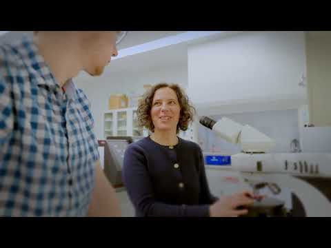 Engineering and Geoscience through a Living Lens
