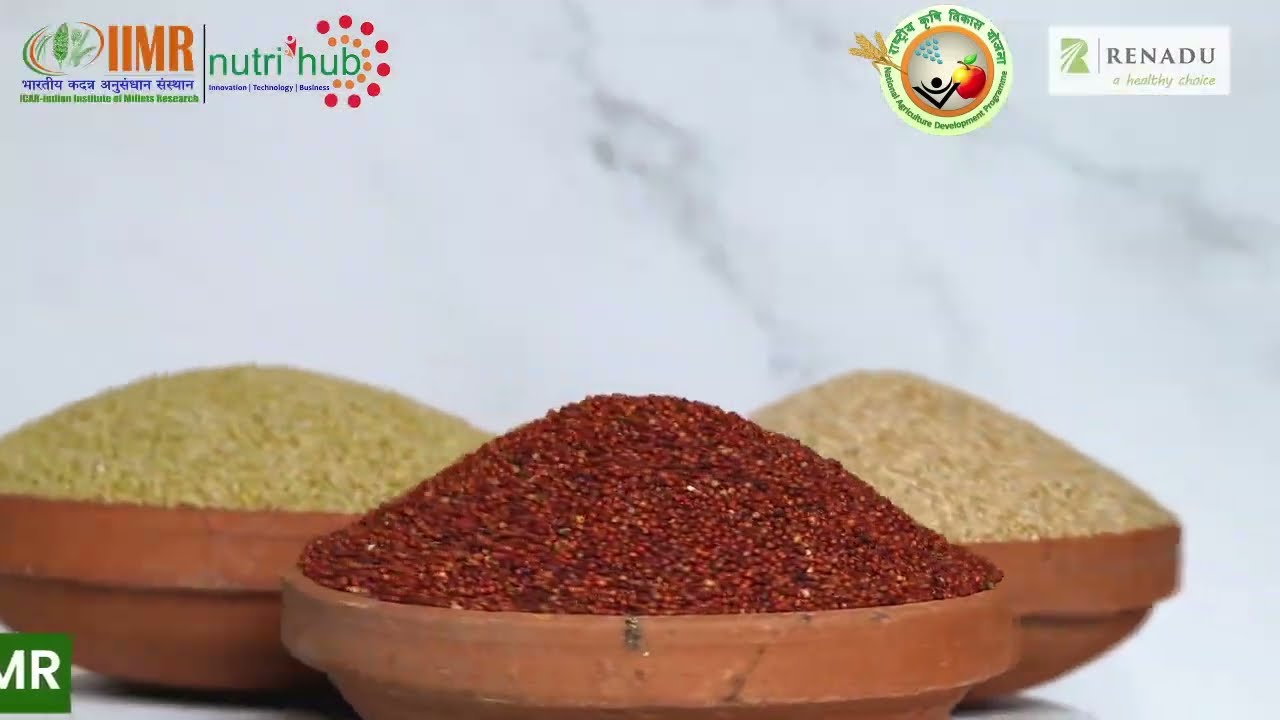 Our Incubatee - Renadu Millets | Nutrihub, ICAR - IIMR | RKVY-RAFTAAR | #millet #startup #incubation