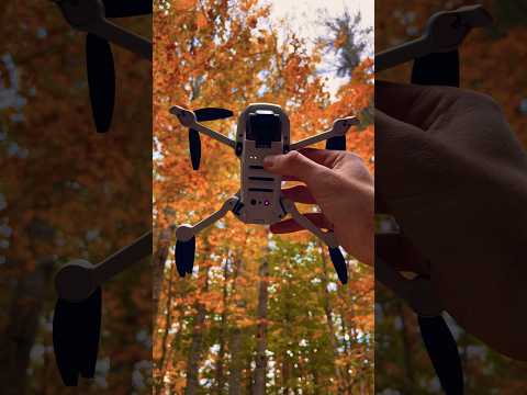 The Best Drones For Capturing Fall Foliage Are DJI - DJI Mini 2 Se #djimini #djimini2se #travel #dji