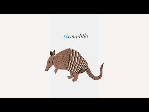 Phonics Video - Aa Sound - Animals that start with 'a'
