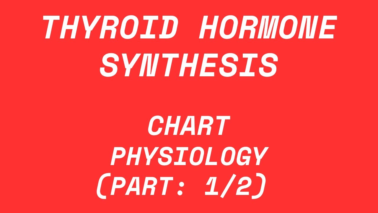 Thyroid hormone synthesis : chart, Physiology (Part: 1/2)