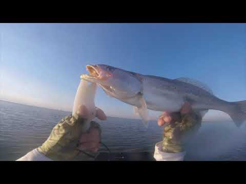 Kayaking Trinity Bay For Trout and Reds – Legacy Outdoors