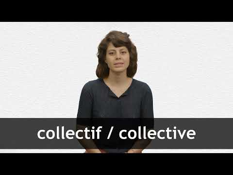 English Translation of “COLLECTIF” | Collins French-English Dictionary