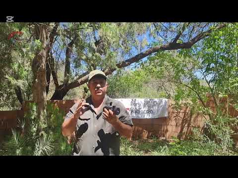 Hikmicro Thunder TQ50c 3.0 thermal clip-on / monocular Camera - Review