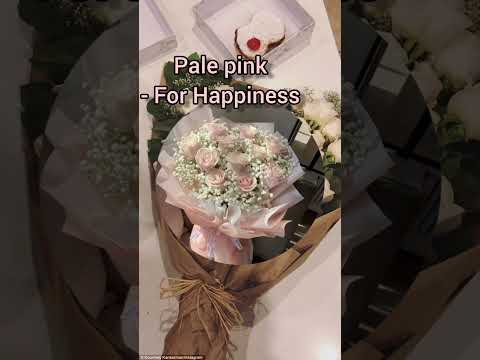 Meaning of different colours of roses🌹#aaradhyaactivites #aesthetic #rose #love#valentine#meaning
