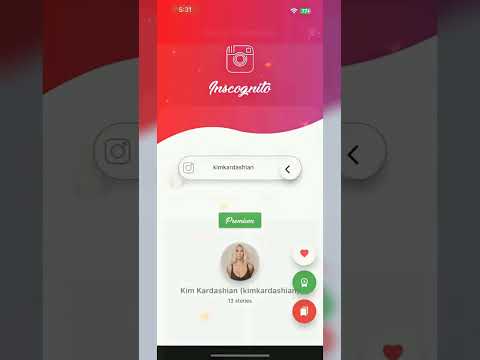 Inscognito - Story Viewer