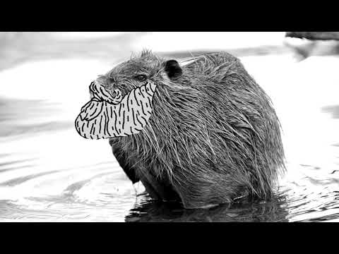 Steam Community :: Video :: chad beaver rat