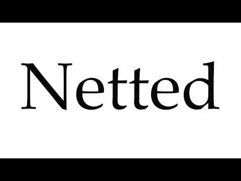 How to Pronounce Netted