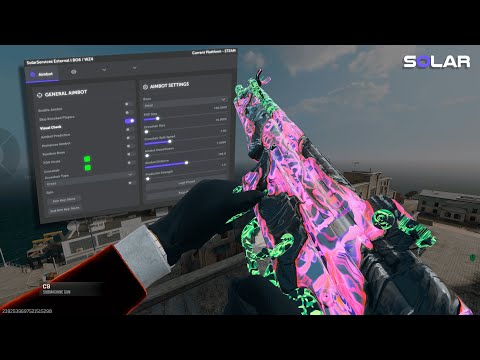 HACKER USES THE #1 CHEAT IN WARZONE 4