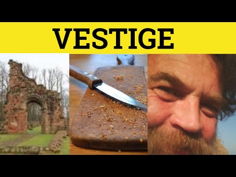 π΅ Vestige Meaning - Vestige Definition - Vestige Examples - Vestige in a Sentence - Formal English