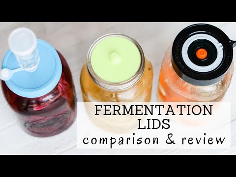 Fermentation Lids Reviews | Bumblebee Apothecary