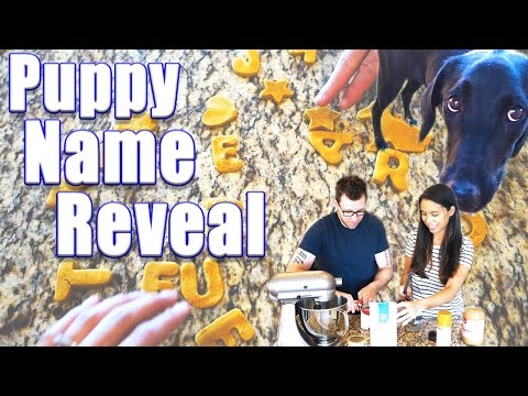 NAME REVEAL for Puppy | DIY Dog Treats