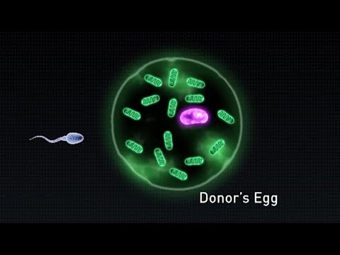 20 Recent Scientific Breakthroughs