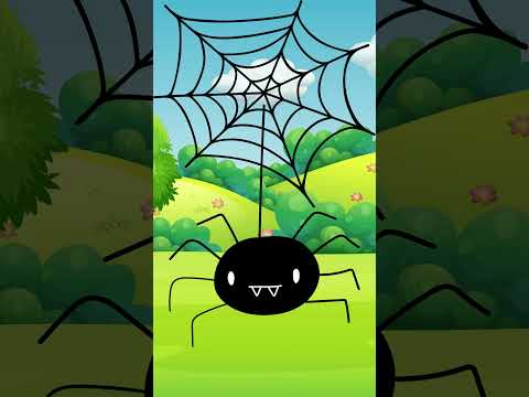 S is for Spider 🕷️| Beginning Sound 🔤English Alphabet | Preschool | KidLitLearning