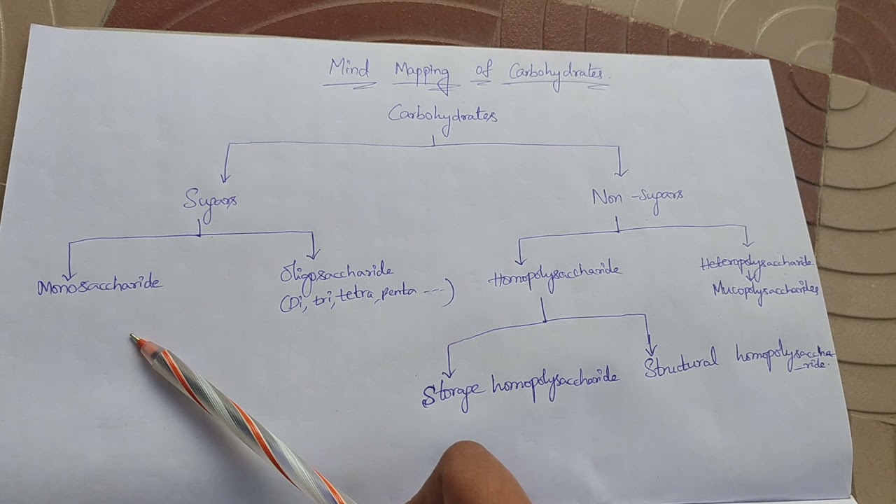 Mind mapping of carbohydrates explained in English.