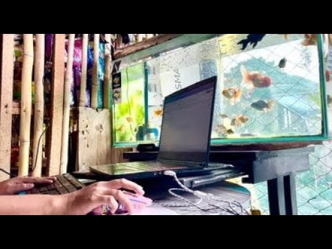 What does Amazon PPC Manager Do | Work from Home Mom PH A Day in the Life Vlog Ep01